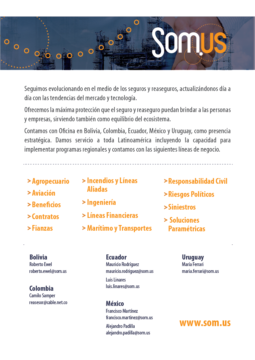 Anuario El Asegurador